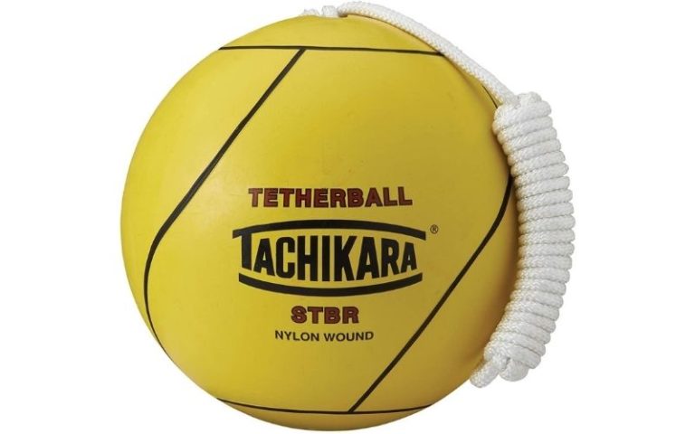 Tetherball for Dogs DIY - Best Tetherball Set for Dogs - Backyard Caring