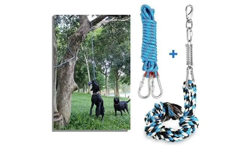 Tetherball for Dogs DIY - Best Tetherball Set for Dogs - Backyard Caring