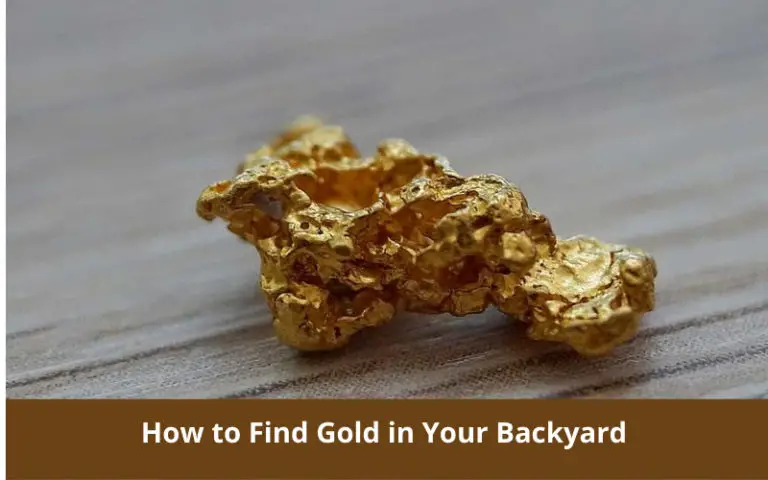 Backyard Gold – How to Find Gold in Your Backyard - Backyard Caring
