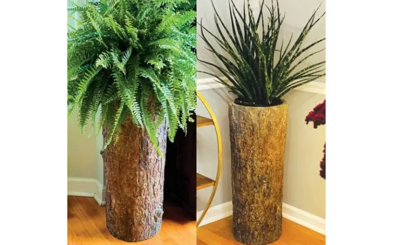 How to Preserve a Tree Stump - Best Guide to Keep a Tree Stump for ...