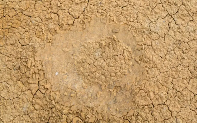 How to Find Clay in Your Backyard (4 Quick Steps) - Where to Find Clay ...