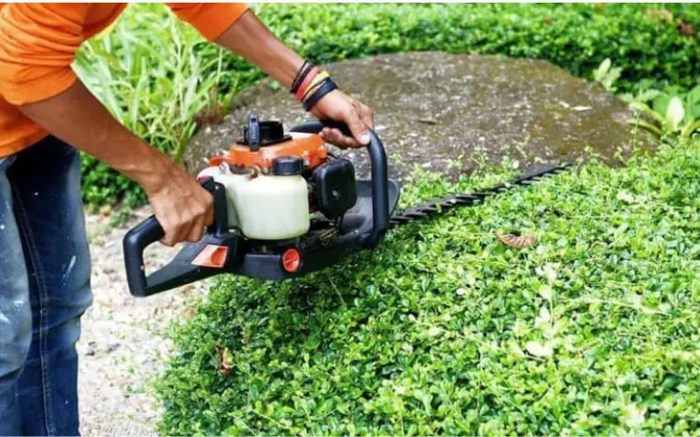 How To Cut Grass Without a Lawnmower (6 Creative Ways) - Backyard Caring
