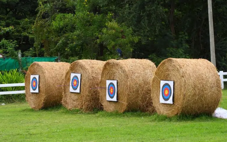 How to Make a Straw Archery Target (5 Easy Steps) - Backyard Caring