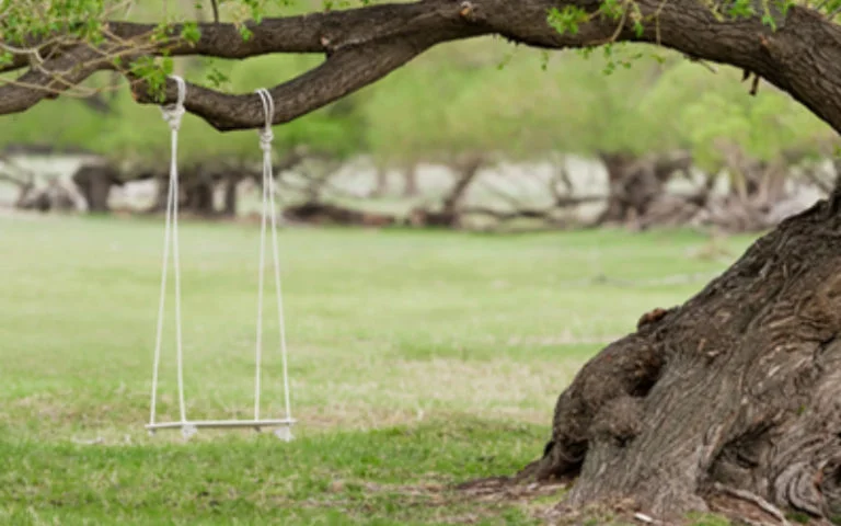 How to Hang a Tree Swing on an Angled Branch (Right Ways to Do it ...