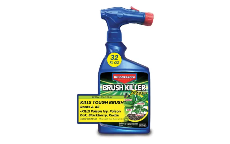 How To Kill A Tree Stump Fast – Best Stump Killers (What Kills Stumps ...