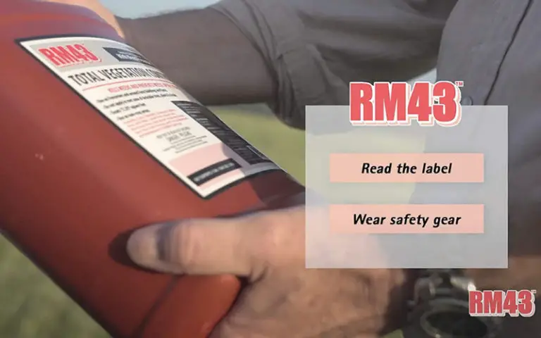 How Does RM43 Effect Trees? (Expert Analysis) - Backyard Caring