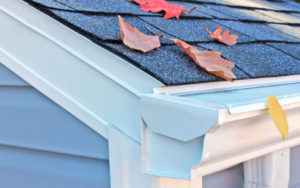 Leaf Filter Vs Leaf Guard – Which Is The Best (Comparison And Differences) - Backyard Caring