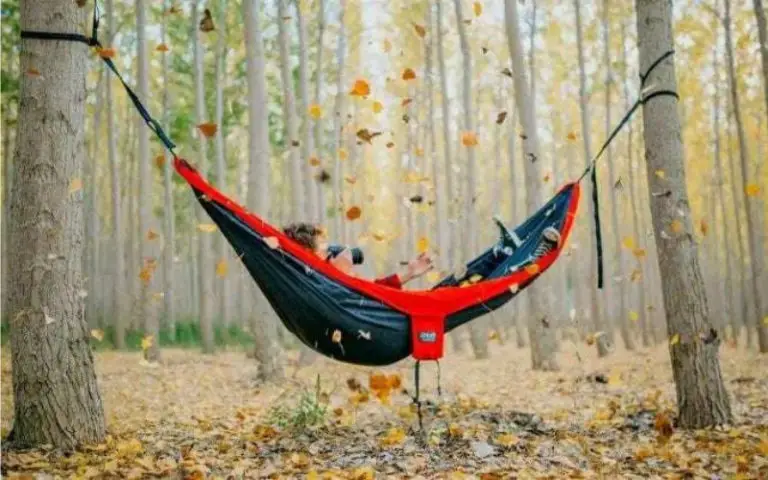 How to Hang a Swing Between Two Trees (3 Easy Methods) - Backyard Caring