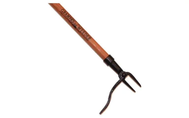 Do Weed Pullers Work? (How Does Weed Puller Work & Benefits) - Backyard Caring