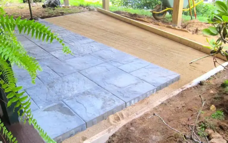 What To Do With Dirt Backyard - Backyard Caring