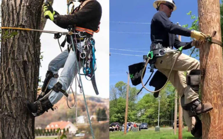 Tree Gaffs vs Pole Gaffs (Which is BETTER and What's The Difference ...