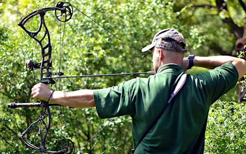 Does Eye Dominance Matter In Archery Backyard Caring