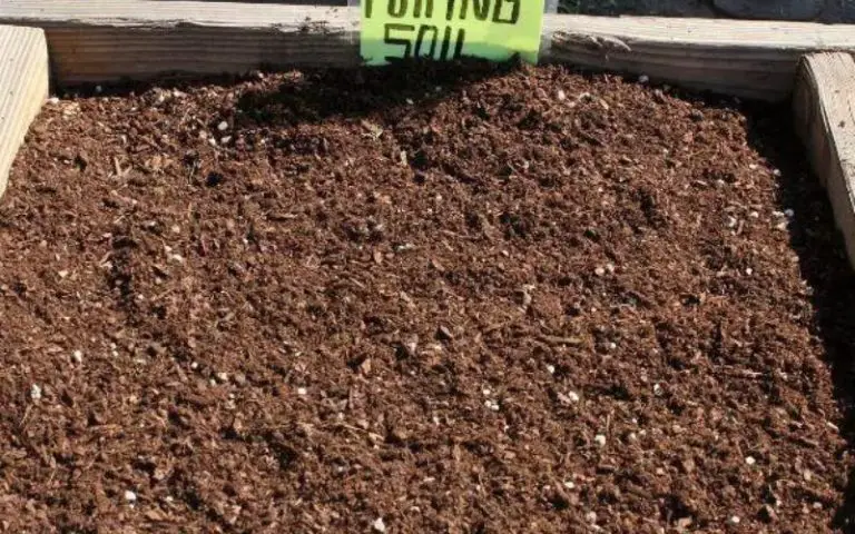What Is The Difference Between Planting Soil And Potting Soil ...